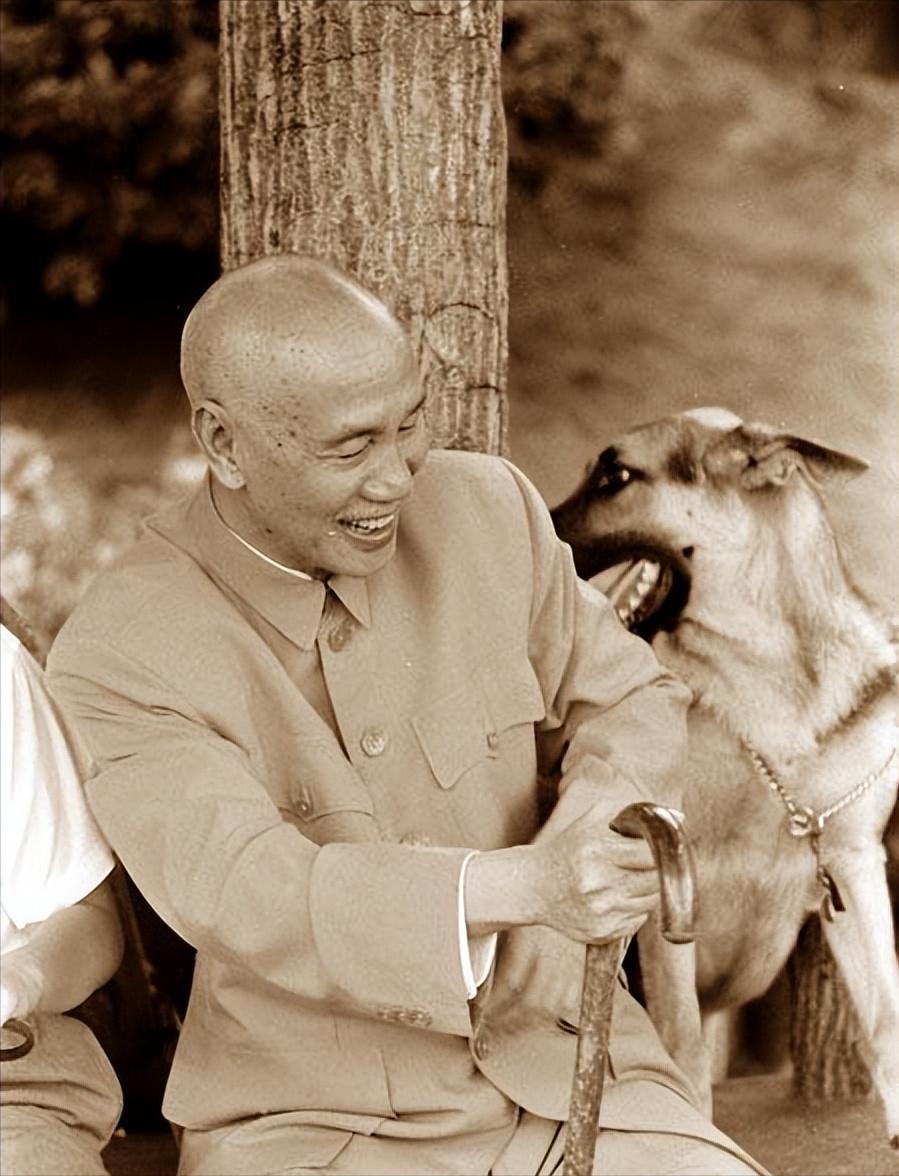 Jiang Xiaoyong proposed that the "Two Jiangs" move their spirits to the ...