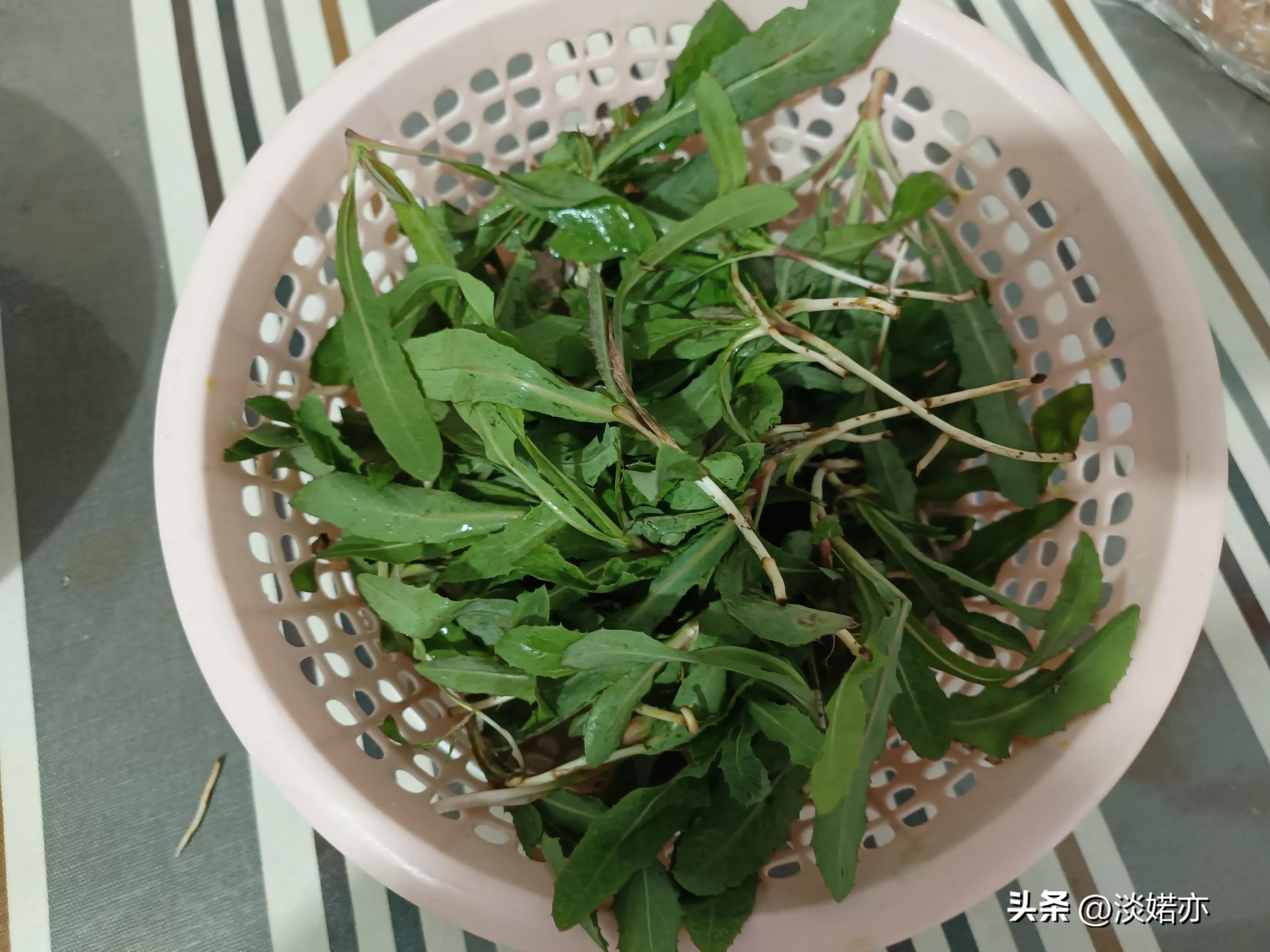 A trip to the countryside to dig wild vegetables - iNEWS