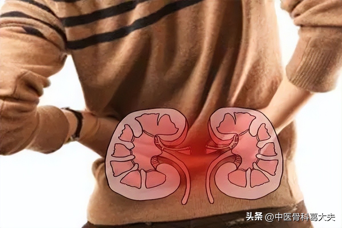 Hua Tuo left three medicines to open up the kidney meridian and restore ...