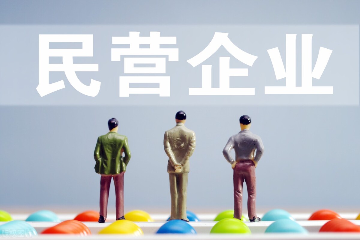 The complete list of the top 500 private enterprises in 2022 was ...