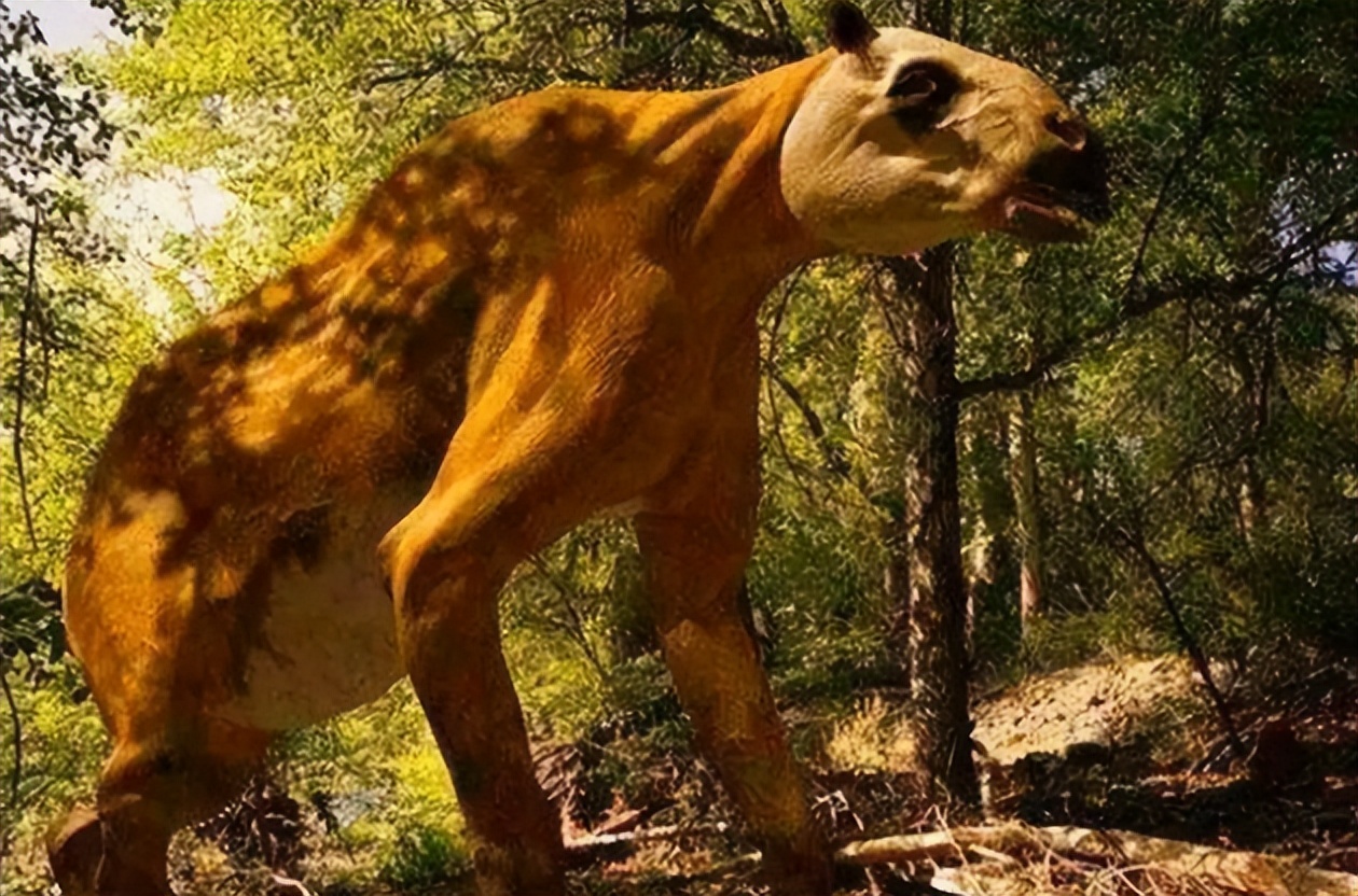 The donkey-headed wolf that has been extinct for 500,000 years ...