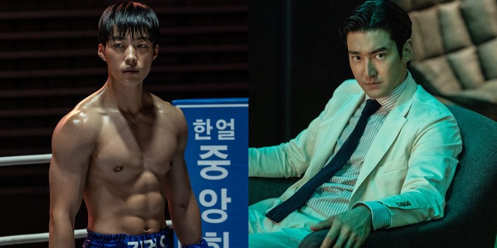 Netflix Korean drama "Hound Dog" Woo Do-hwan and Lee Sang Er punched to ...