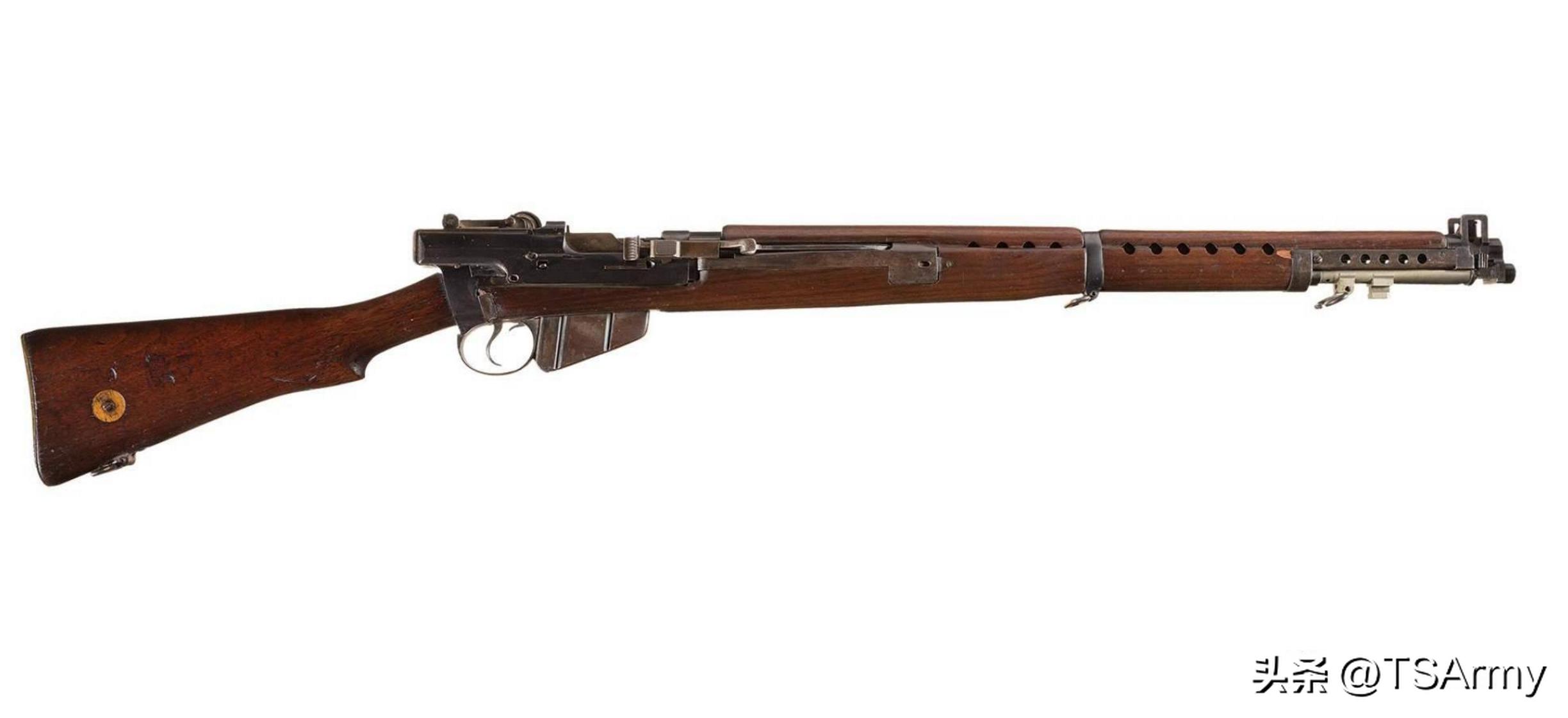 Inventory of 31 semi-automatic rifles in the world, most of which are ...