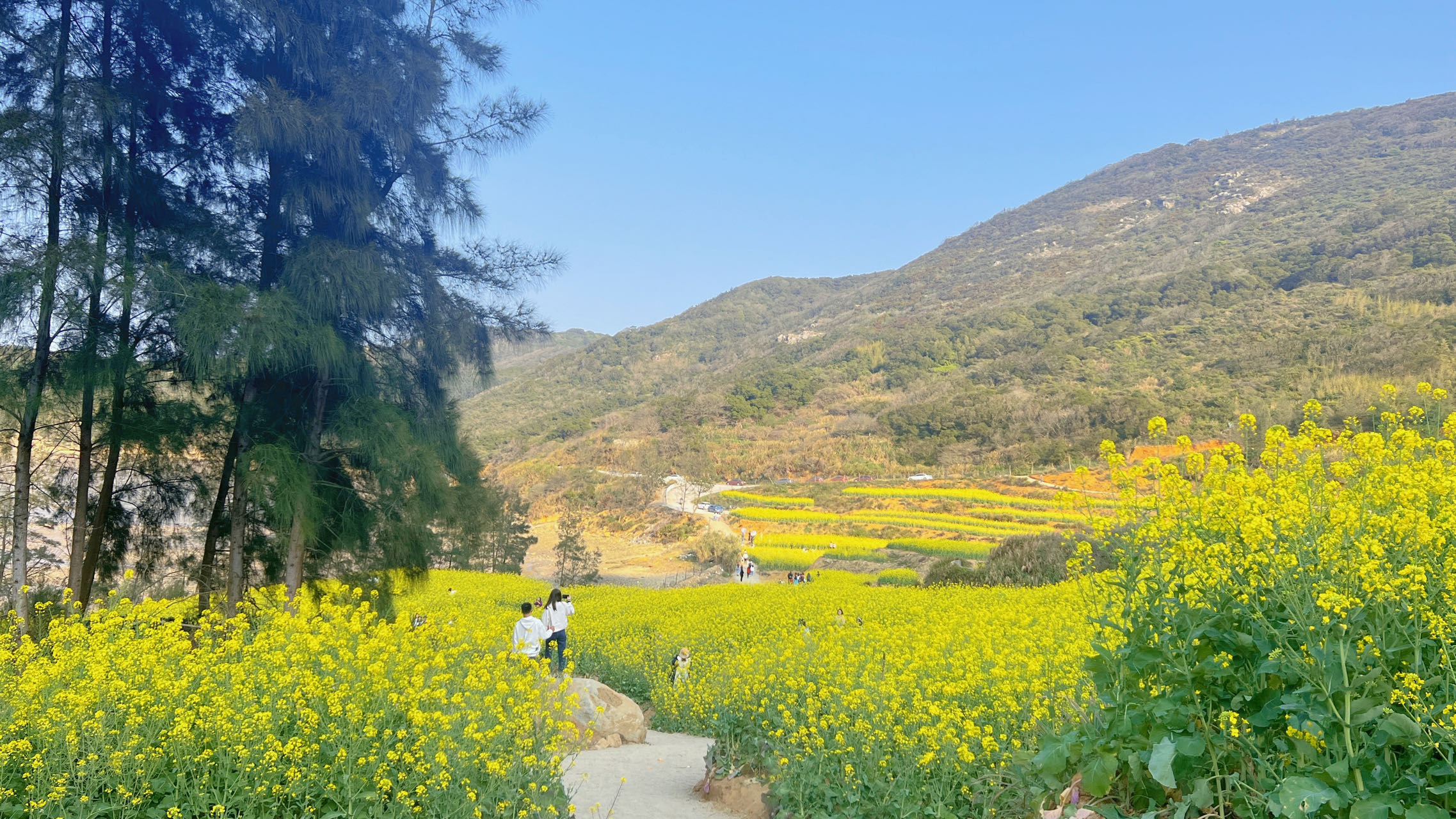 Pingtan Nursery Rhymes: Cultural Treasures, Inheritance of the Times ...