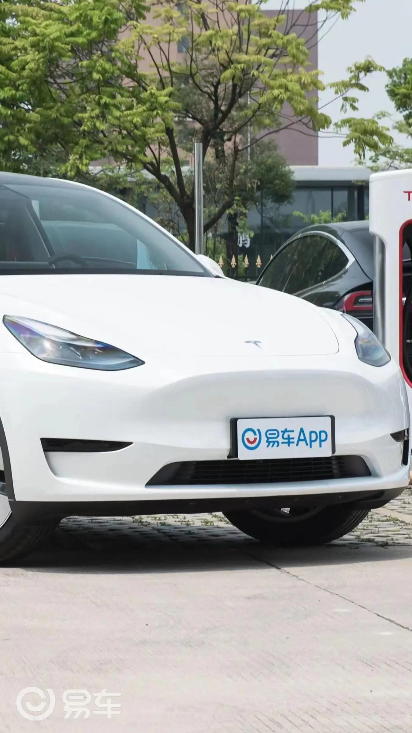 Is the insurance premium for model Y high for the first year? - iNEWS