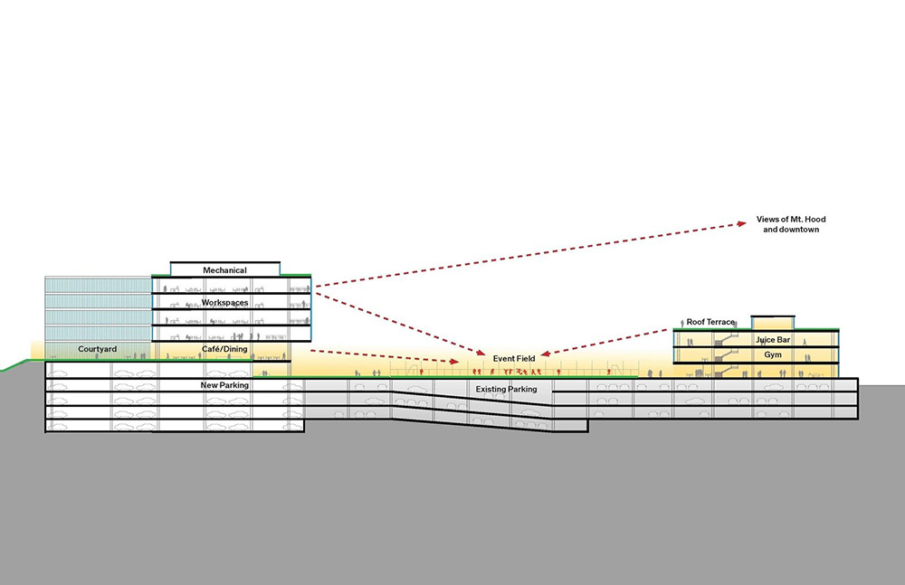 Sports spirit adidas Adidas North America headquarters GOLD office ...