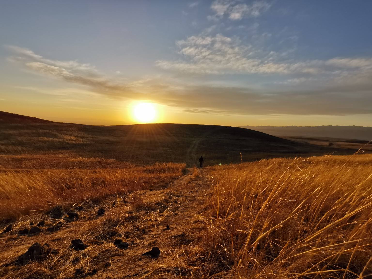 Is wolf smoke really made of wolf dung? - iMedia