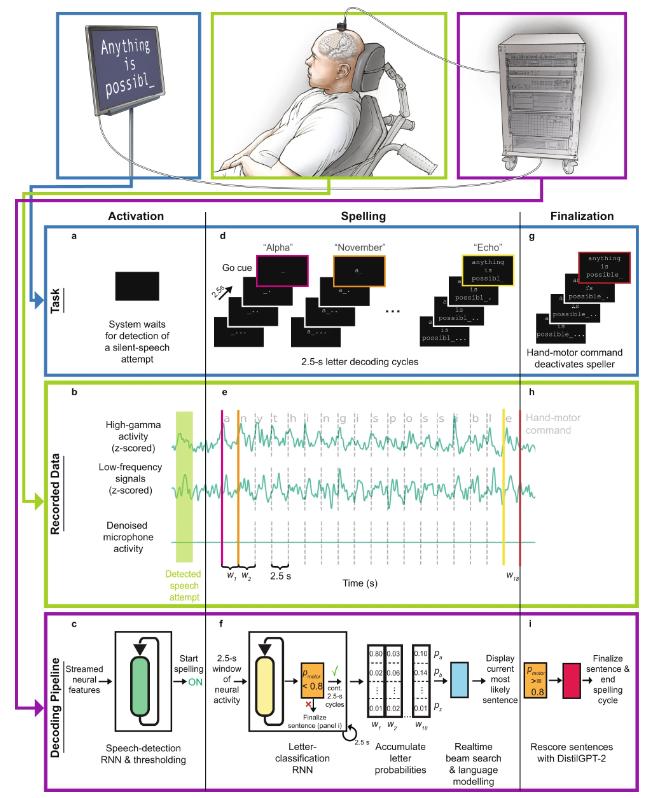 Brain-computer interface, brain waves and fMRI, AI is mastering mind ...