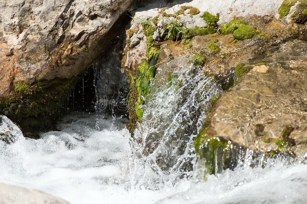 Loess is one of the four "longevity treasures" in the deep mountains of ...