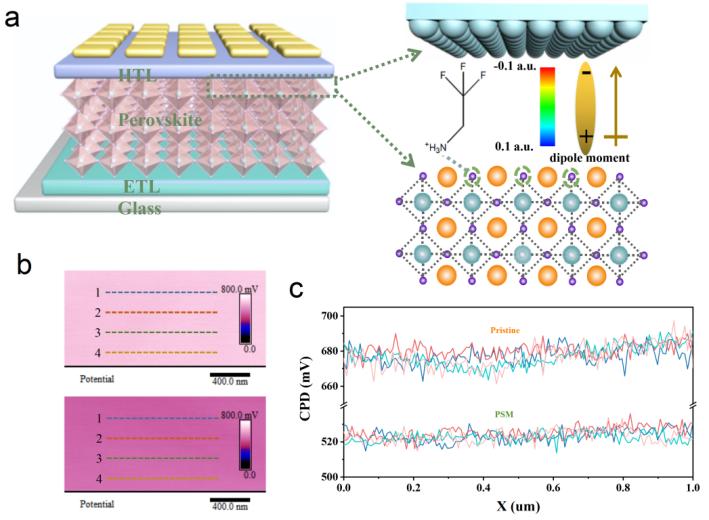 Efficient and stable CsPbI₃ perovskite solar cells prepared by polar ...