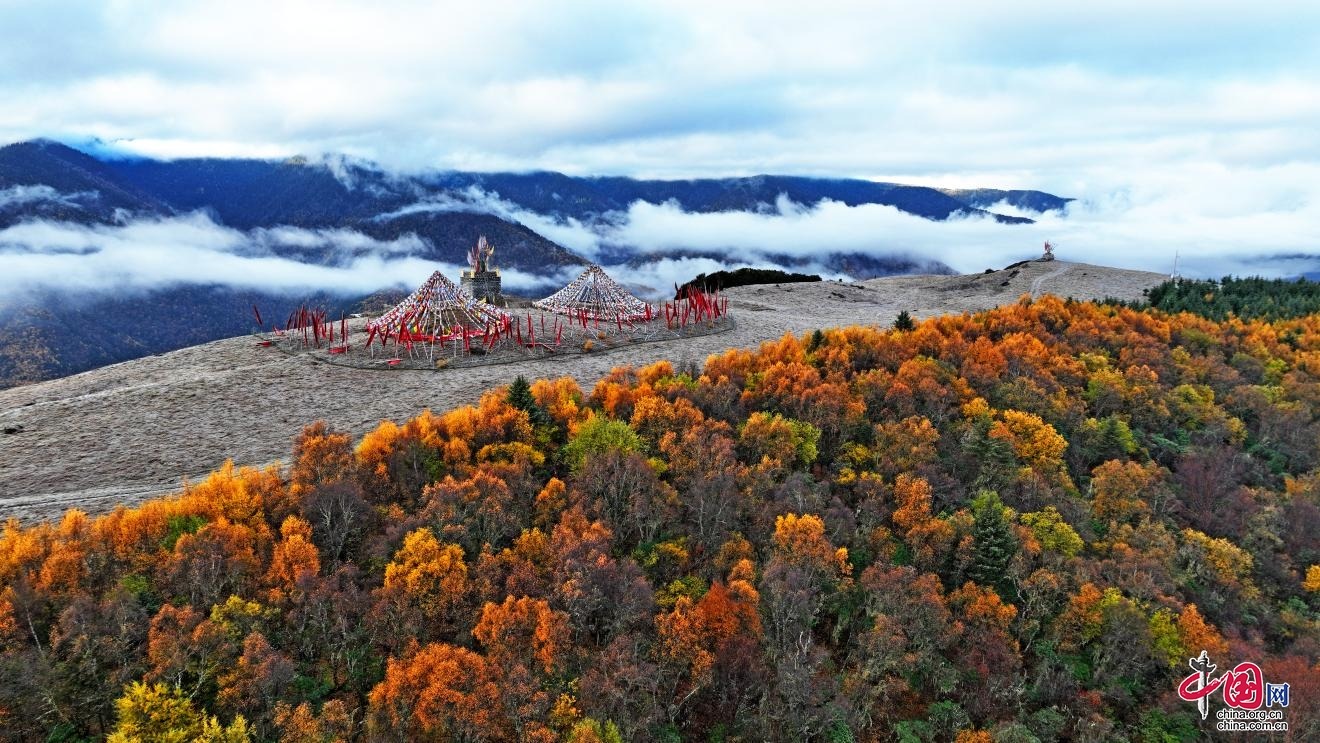 Malkang Jiarong Saima Mountain ushered in the colorful forest season ...