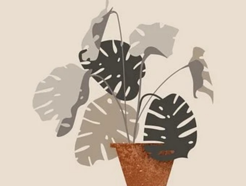 How to recognize picture text? A few steps to recognize the text of the ...