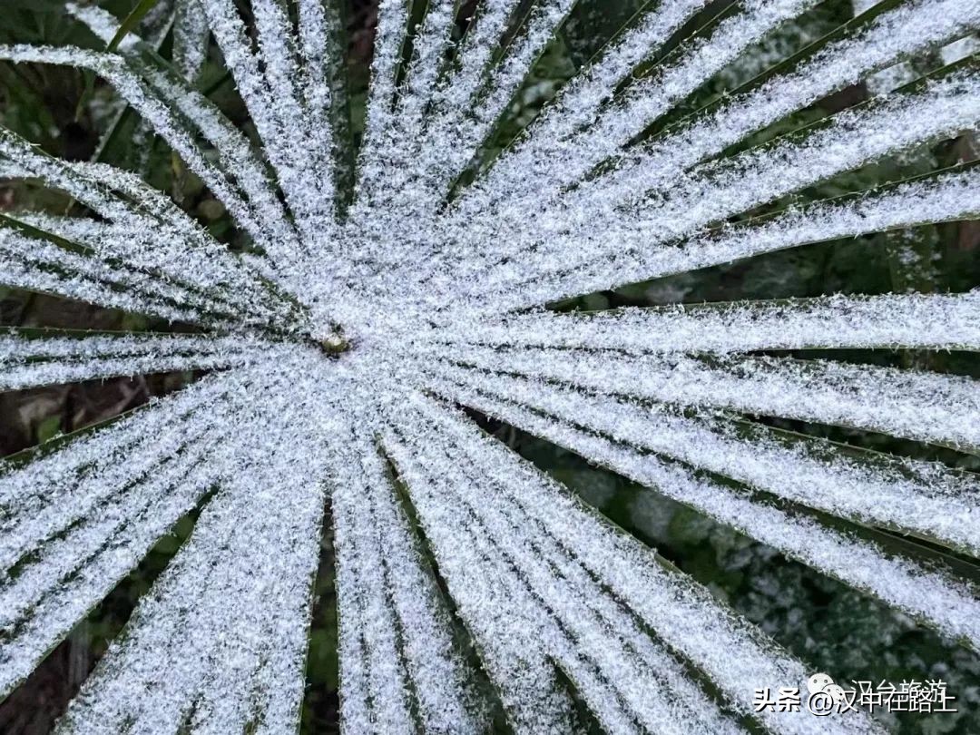 Yushu Qiongzhi!The snow scenery of Hantai is picturesque - iNEWS