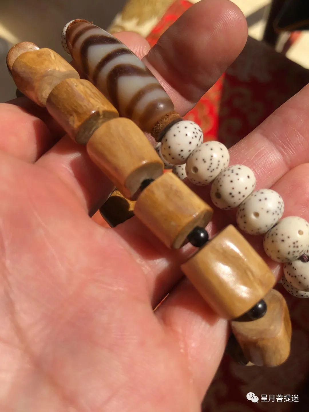 How to distinguish true and false sea willow?What are the varieties of ...