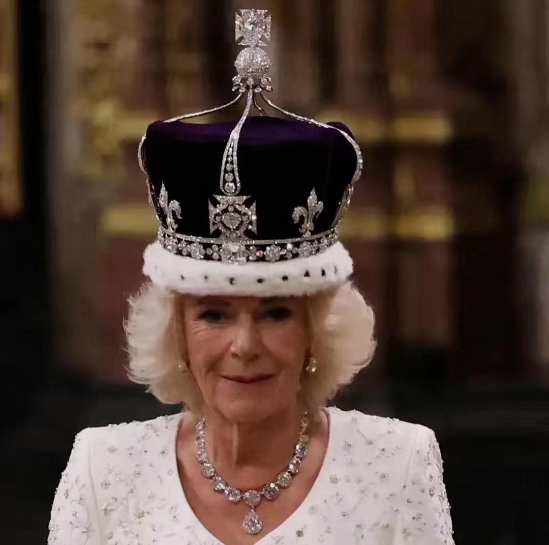 Don't have ulterior motives! Camilla created a scandal about William ...