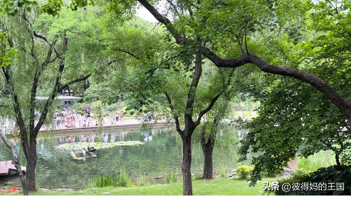 You can also see little squirrels in Xujiahui, Shanghai~ - iMedia
