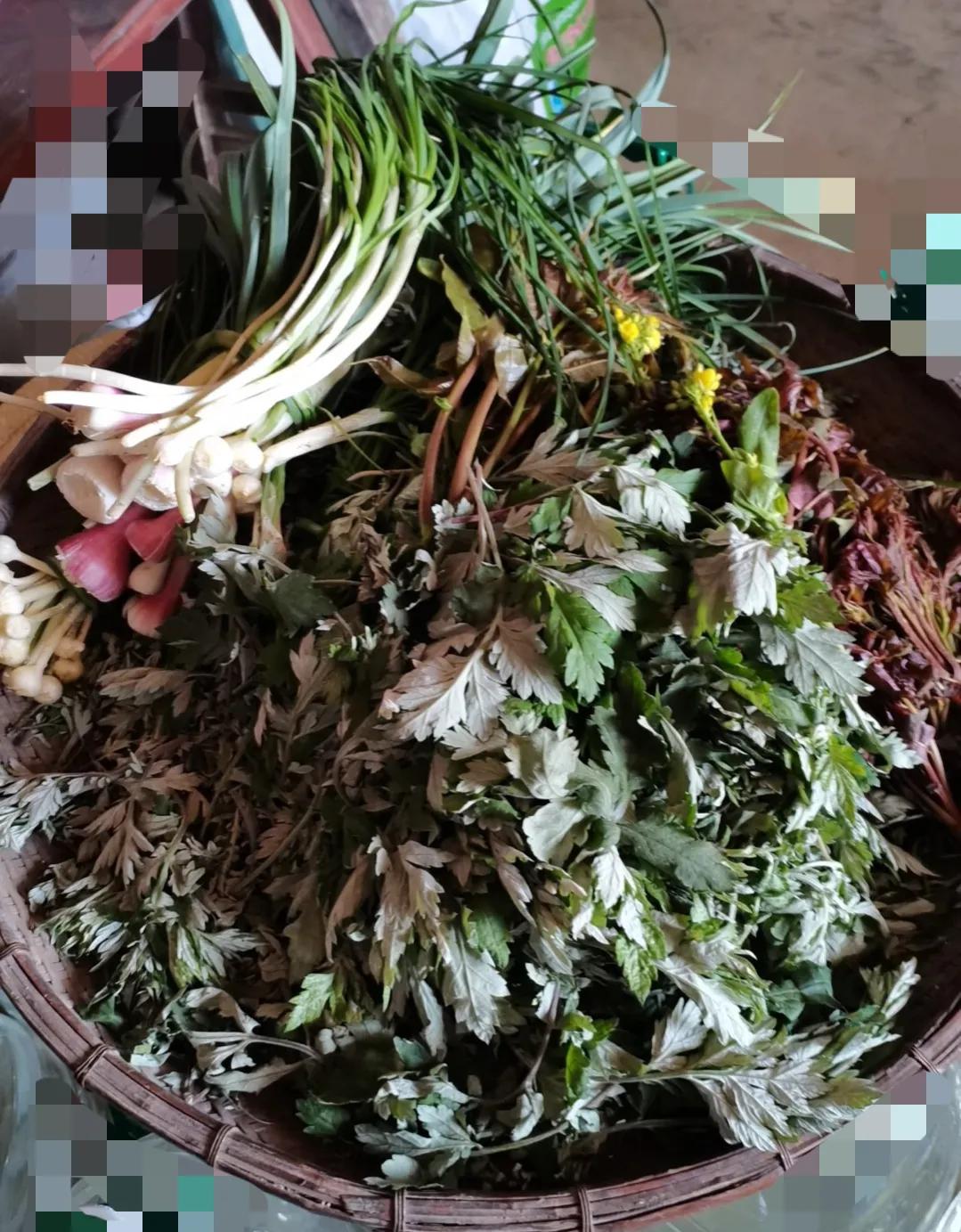 Taste from Wufeng Mountain - iNEWS