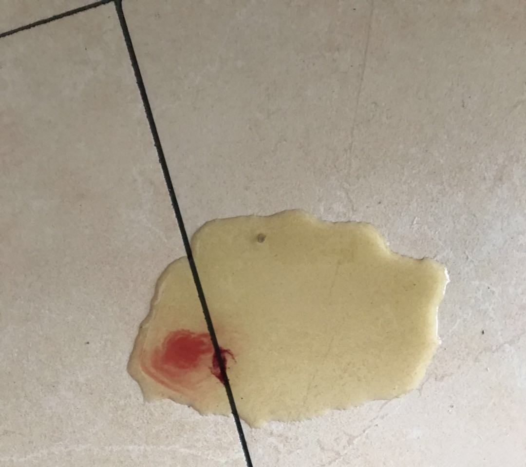 What to do with blood in cats and dogs? - iNEWS