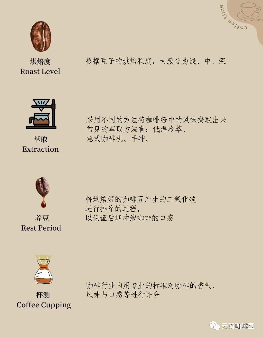 15 Common Coffee Terms - iMedia