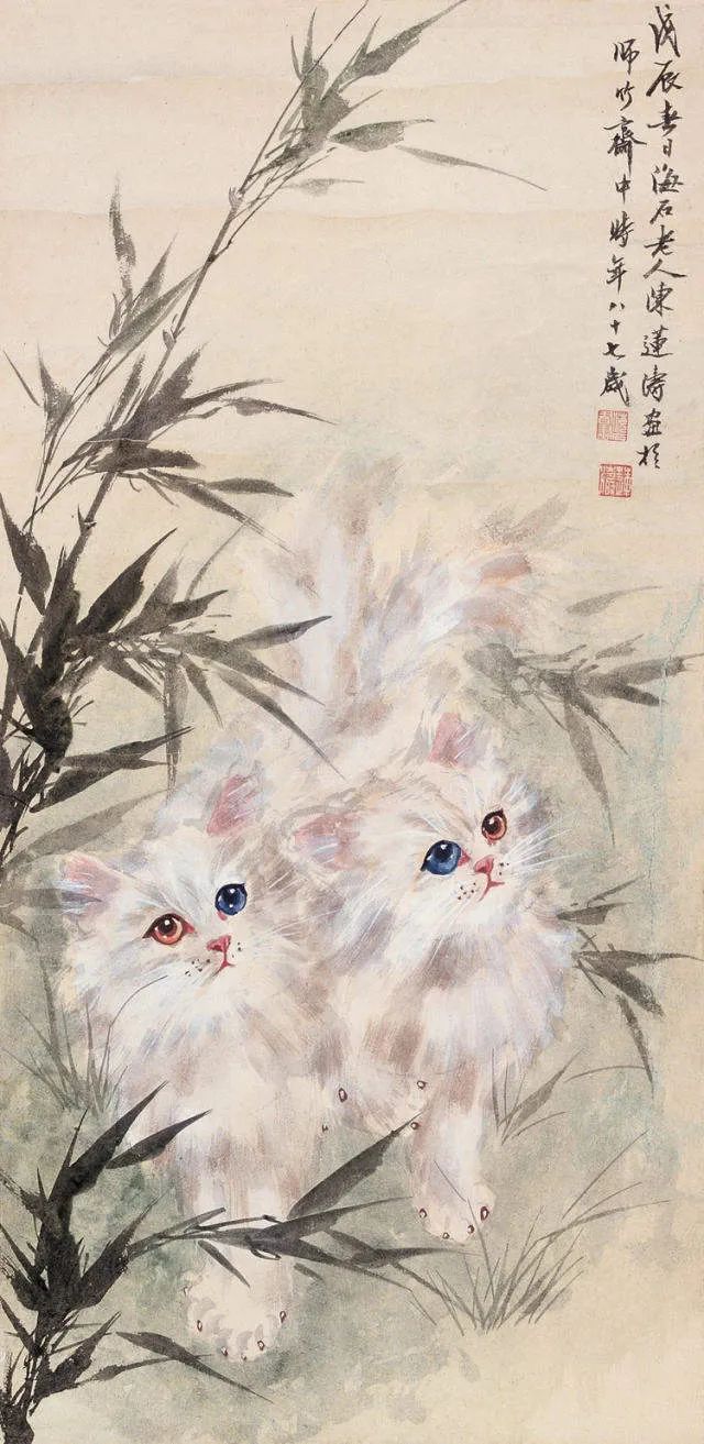 Chen Lantao: Love cats become crazy, known as "Elvis in the south of ...