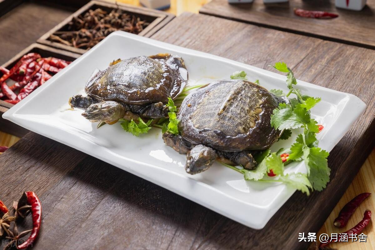 As the saying goes, soft-shelled turtles should not stretch out their ...