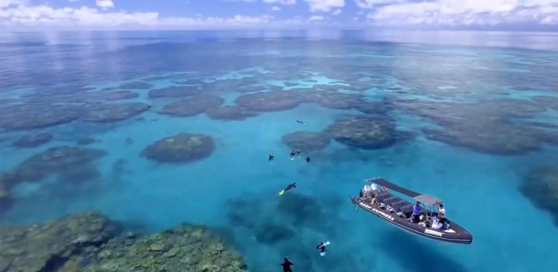 Great Barrier Reef - the largest coral reef in the world - iNEWS