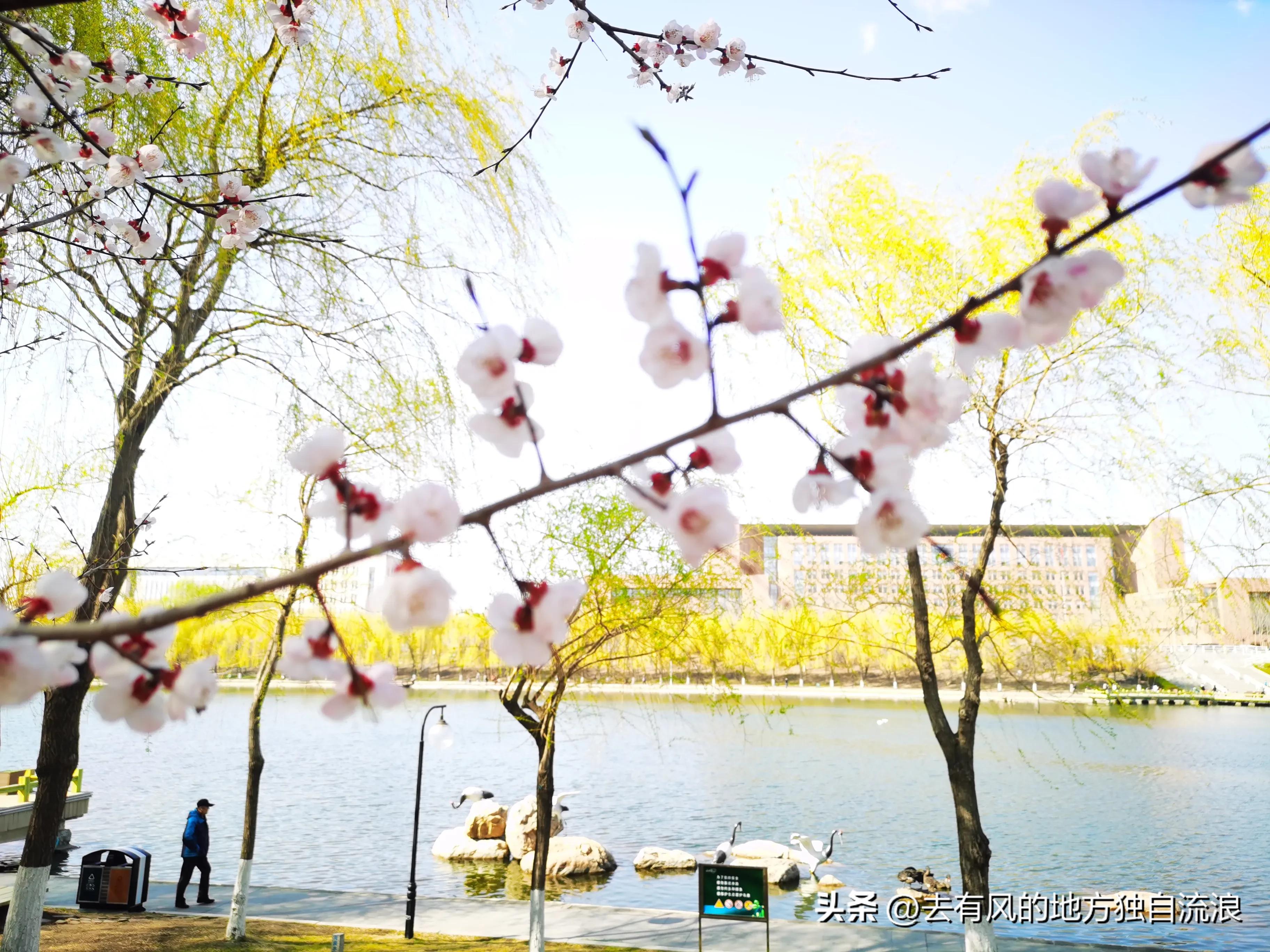 A glimpse of Friendship Park in spring - iMedia