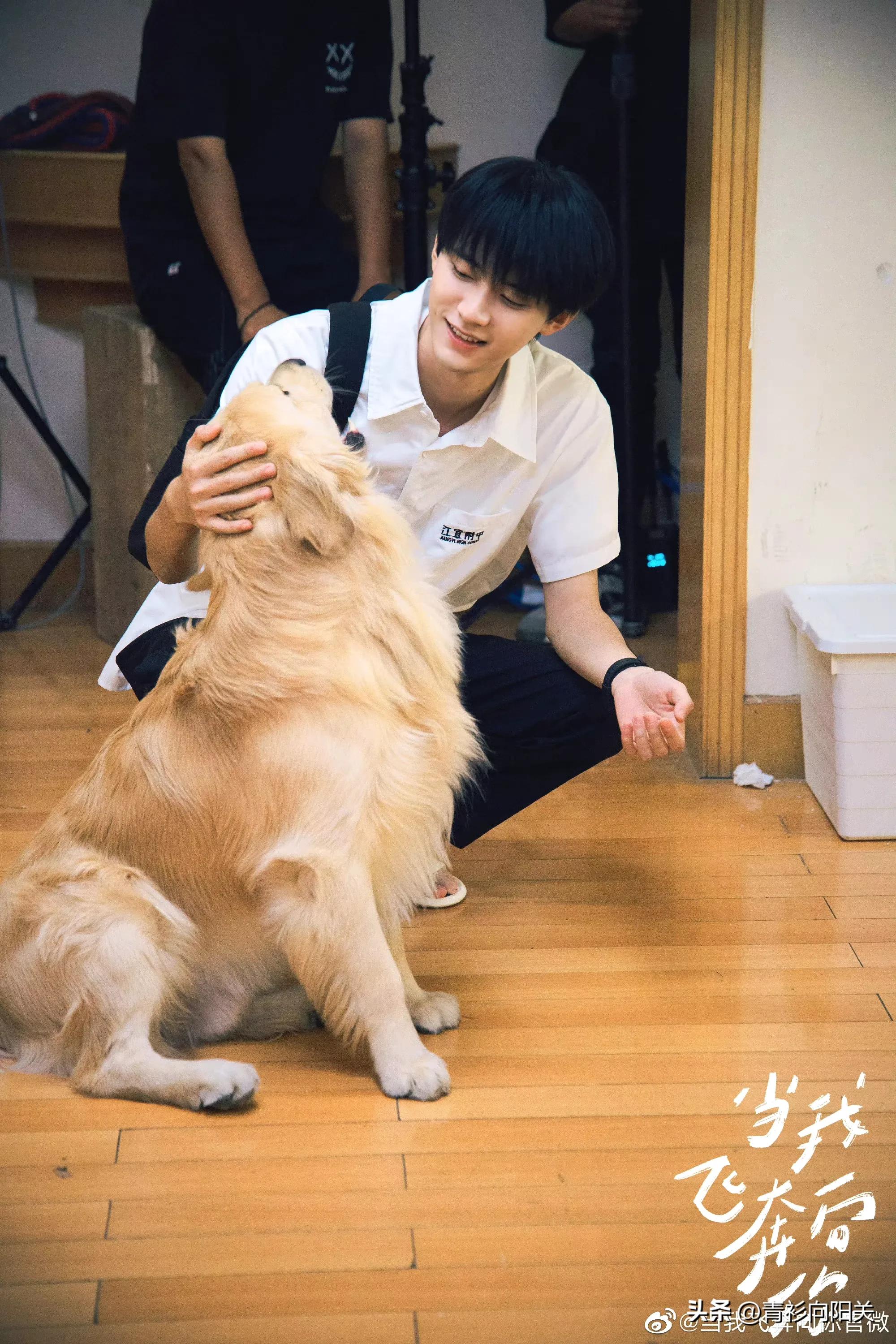 When I Fly to You: If you understand the meaning of the names of Zhang ...