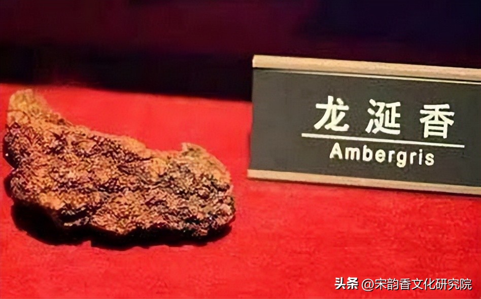 Ambergris: An 800-year Legend Surviving the Song Dynasty - iNEWS