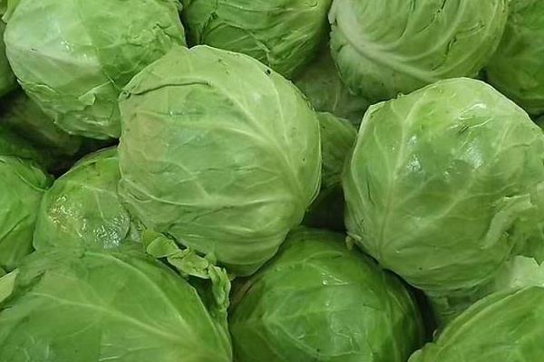 10 most popular vegetables in the world - iNEWS
