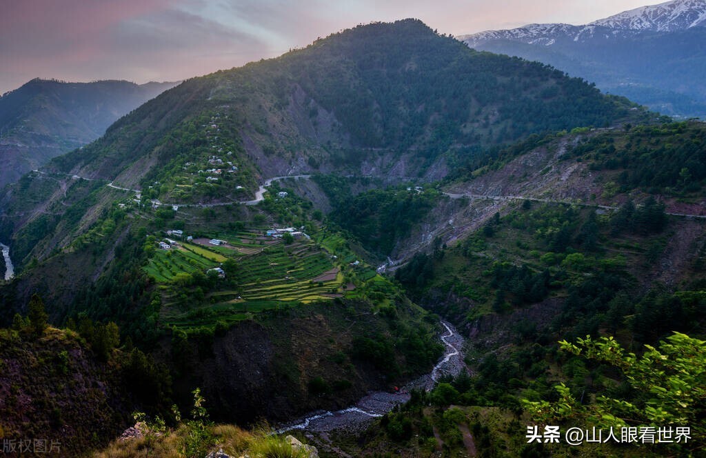 What's wrong with Bartie - iMedia