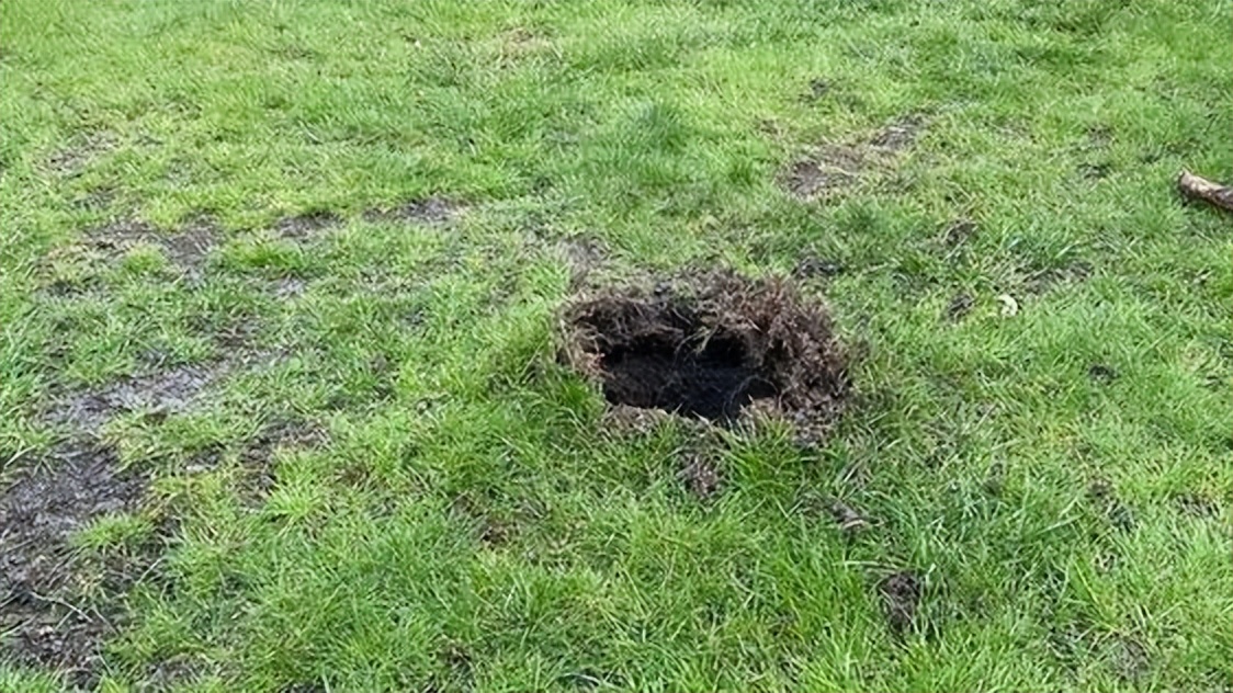 A stone fell from the sky and smashed into the garden of a German ...