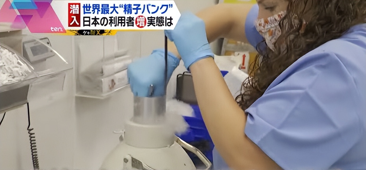 The strongest "breeding king" donates sperm more than 100 times a year ...