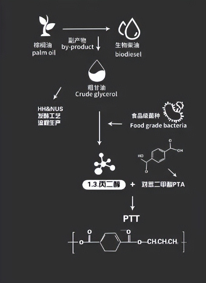 BIDOEX launched the world's first two-component PTT fiber, which became ...