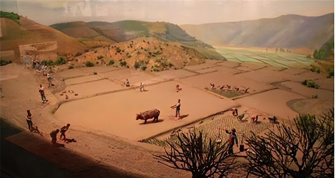 Agricultural Culture and Development in Ancient China - iMedia