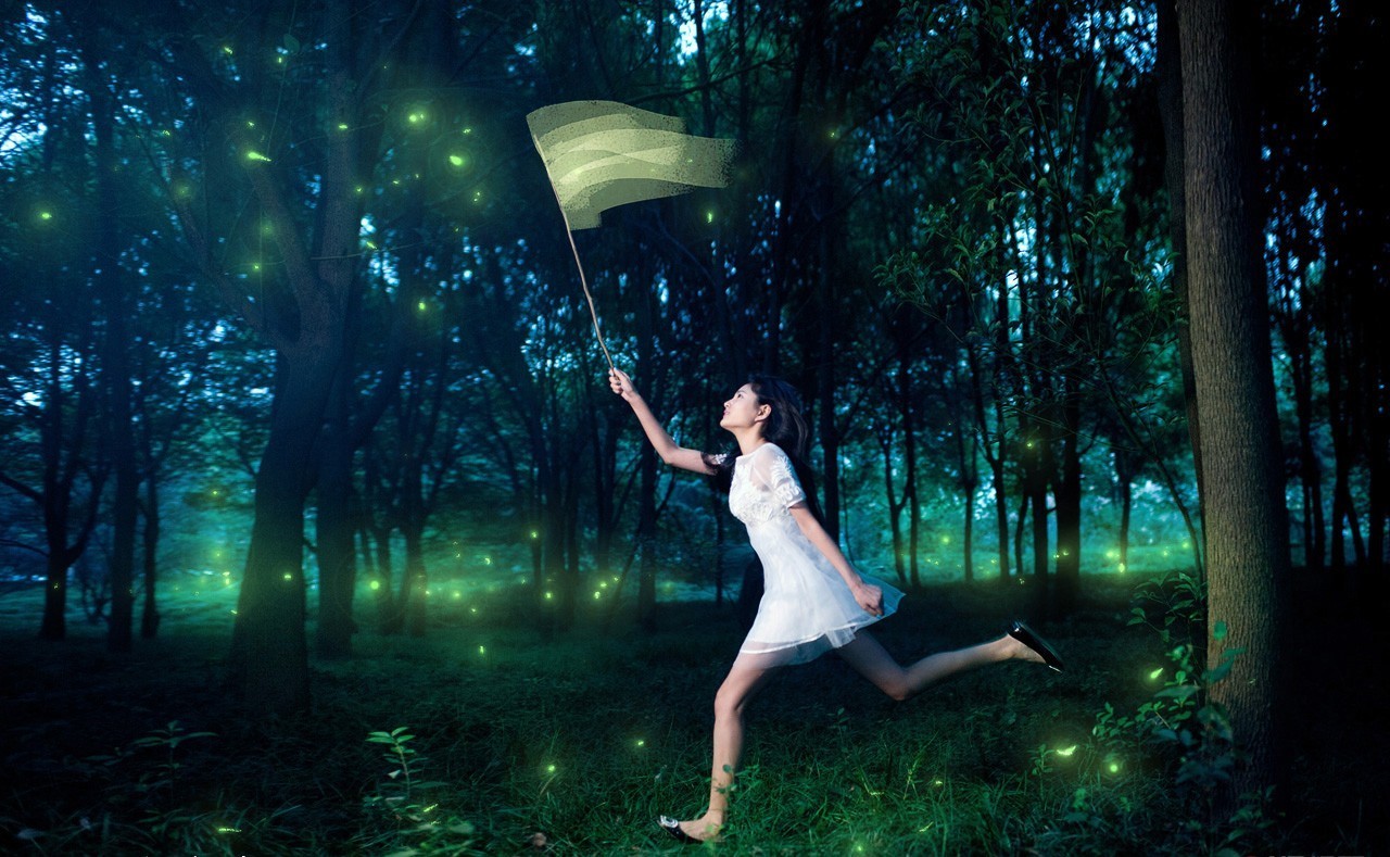 Decades ago, you could always see fireflies all over the mountains and plains. Why do fireflies ...