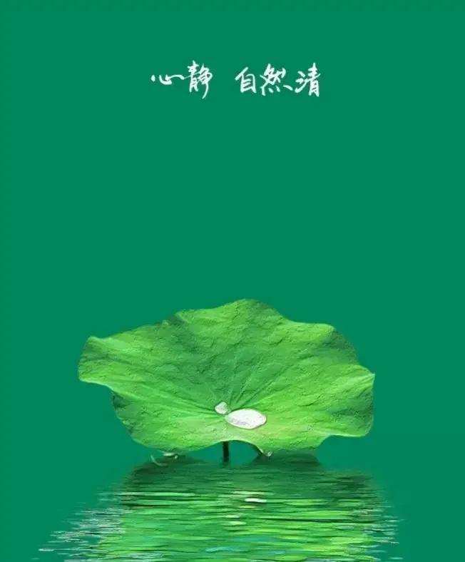 Let your eyes rest for a while, come with a wave of green eye-catching ...