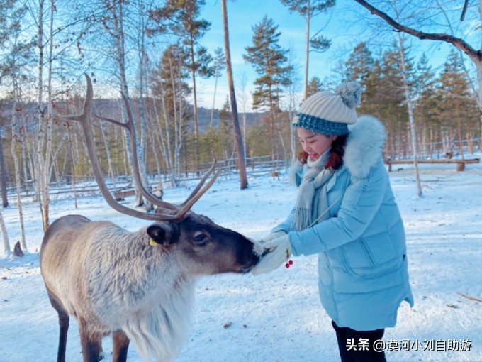 A 3-day tour of Mohe ice and snow, walk into the Ewenki envoy tribe ...