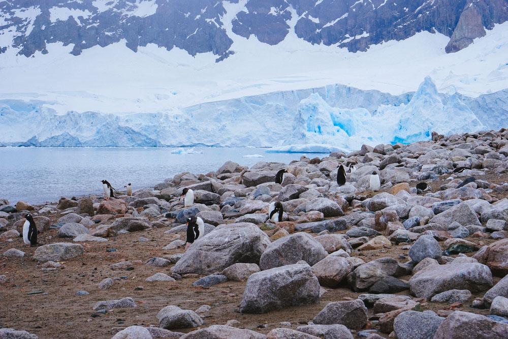 A place farther than Western Paradise, the end of the world, Antarctica ...