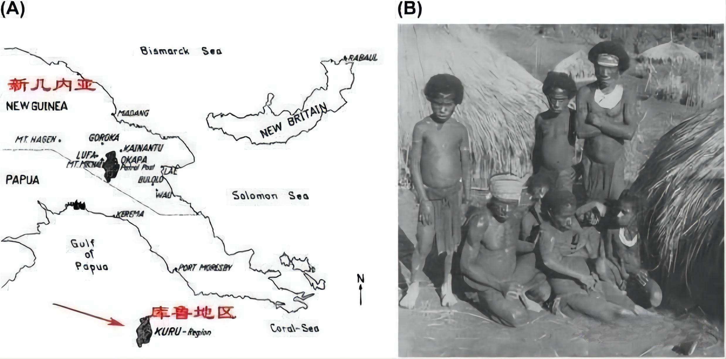 What's the deal with cannibal tribes and "laughing death"?Why can't ...