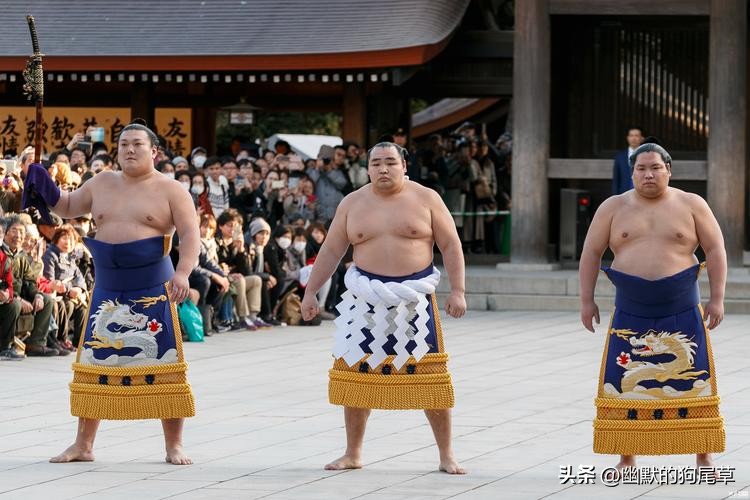 Why are Japanese sumo wrestlers fat and strong? - iMedia