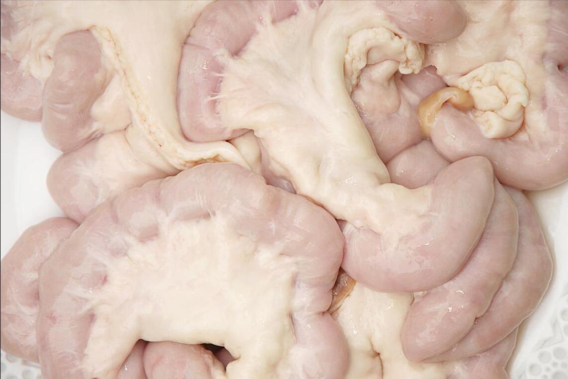 Clean pig large intestine, do not wash with salt and alkali, replace it ...