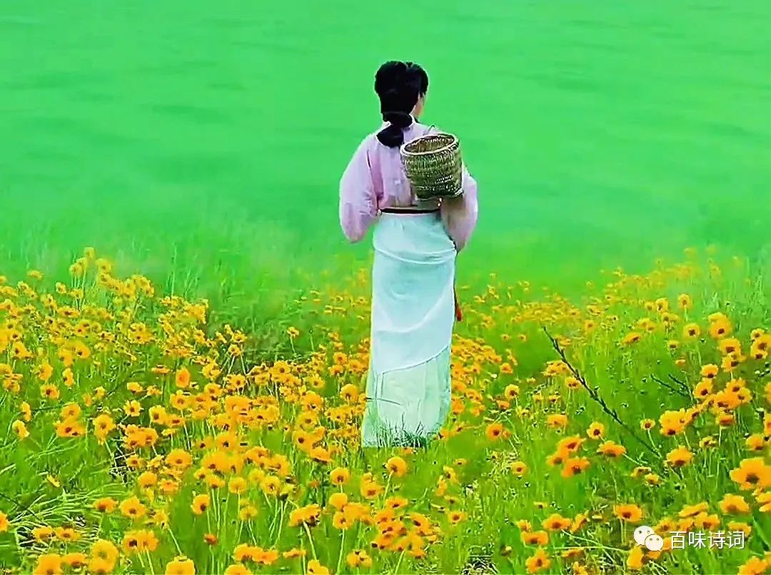 Comments on the second issue of "Baiwei Poems". Guests: Lei Haiji, Liu ...