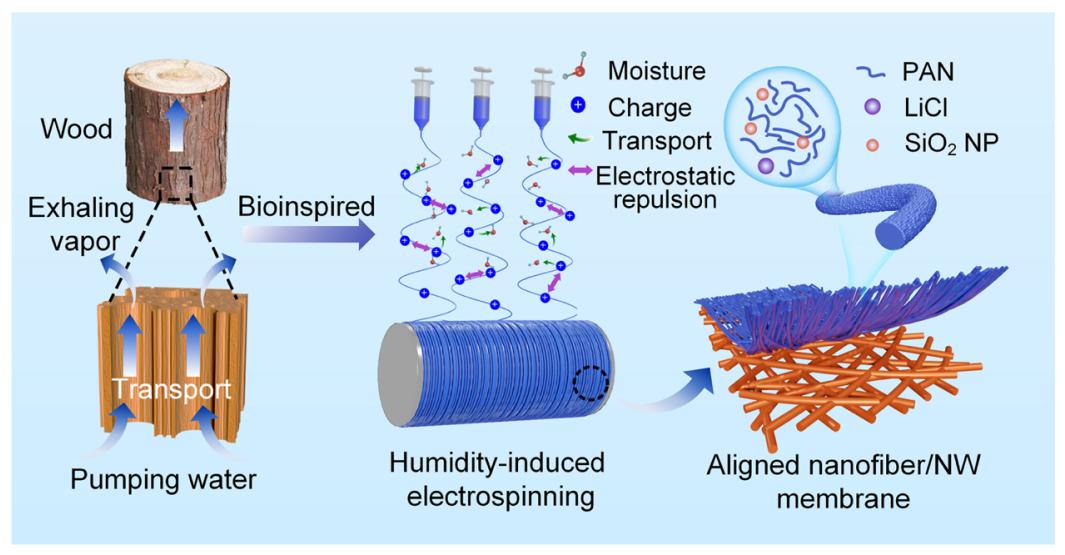 Preparation and Application of Highly Oriented PAN−SiO2 Nanofiber ...