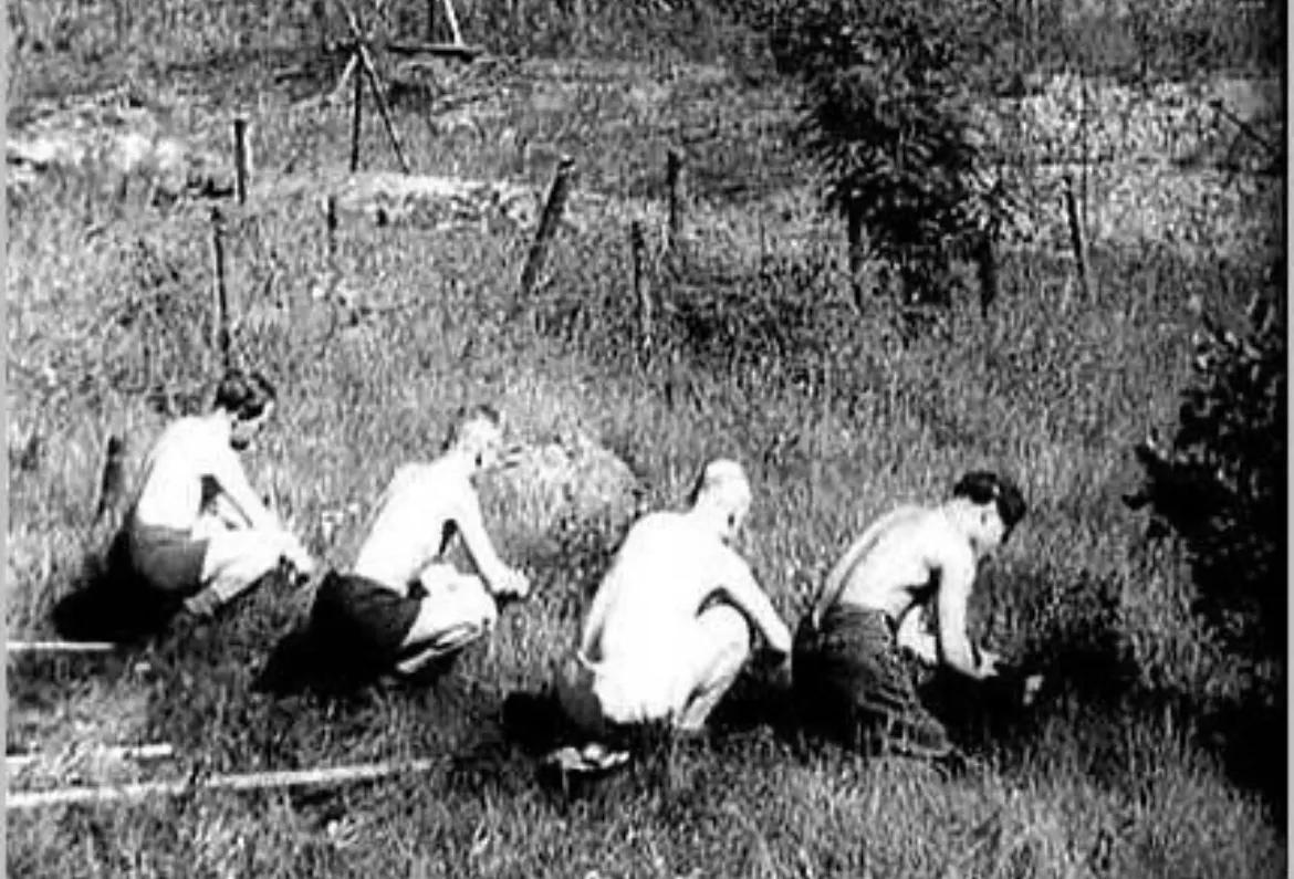 After the defeat of World War II, what happened to the captured German ...