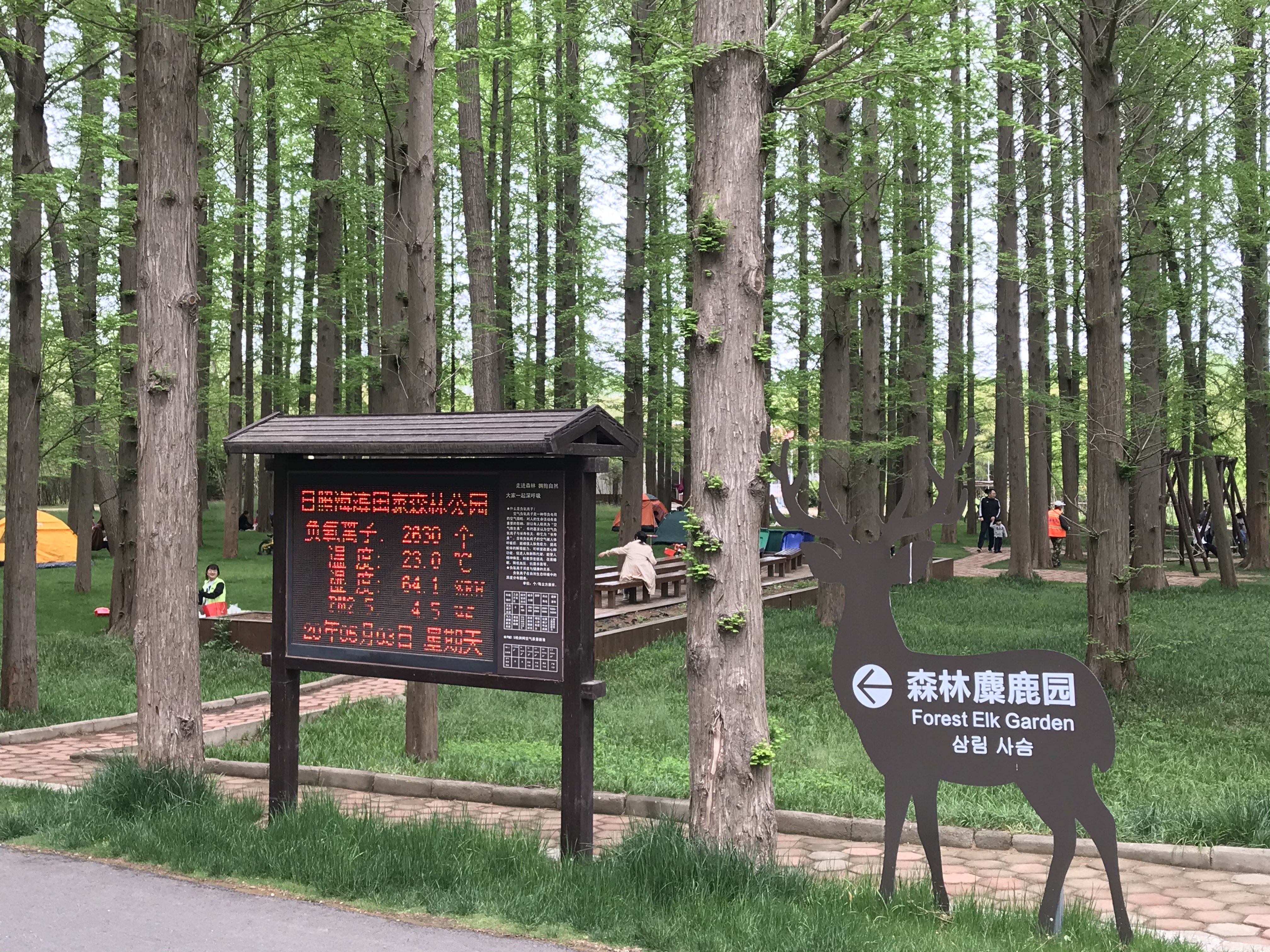 Always go to Rizhao‖A trip to Rizhao from April to June - iNEWS