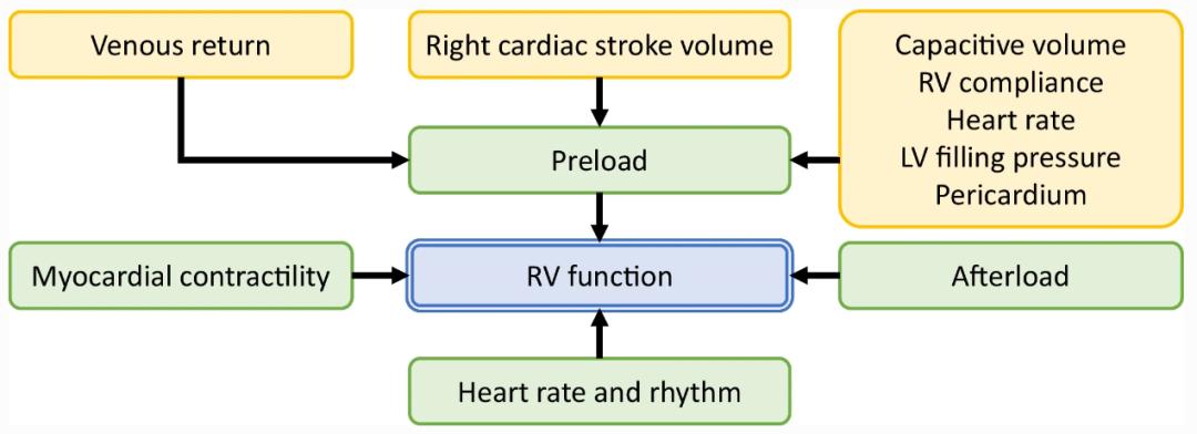 Recognition and management of acute right ventricular failure - iNEWS