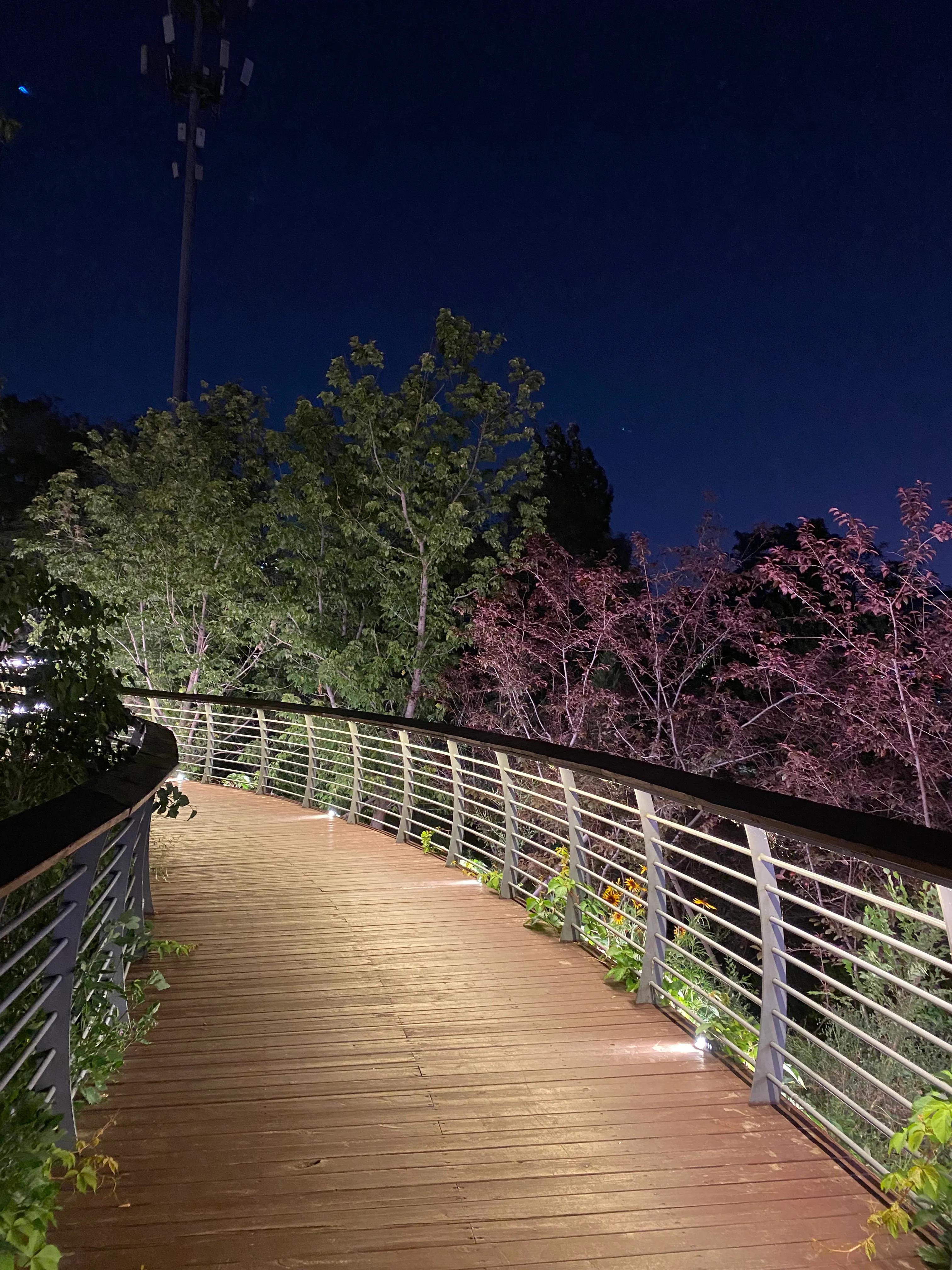 night view of the park - iNEWS