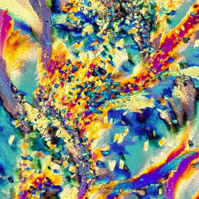 Incredible!16 rare pictures taken under the microscope - iNEWS