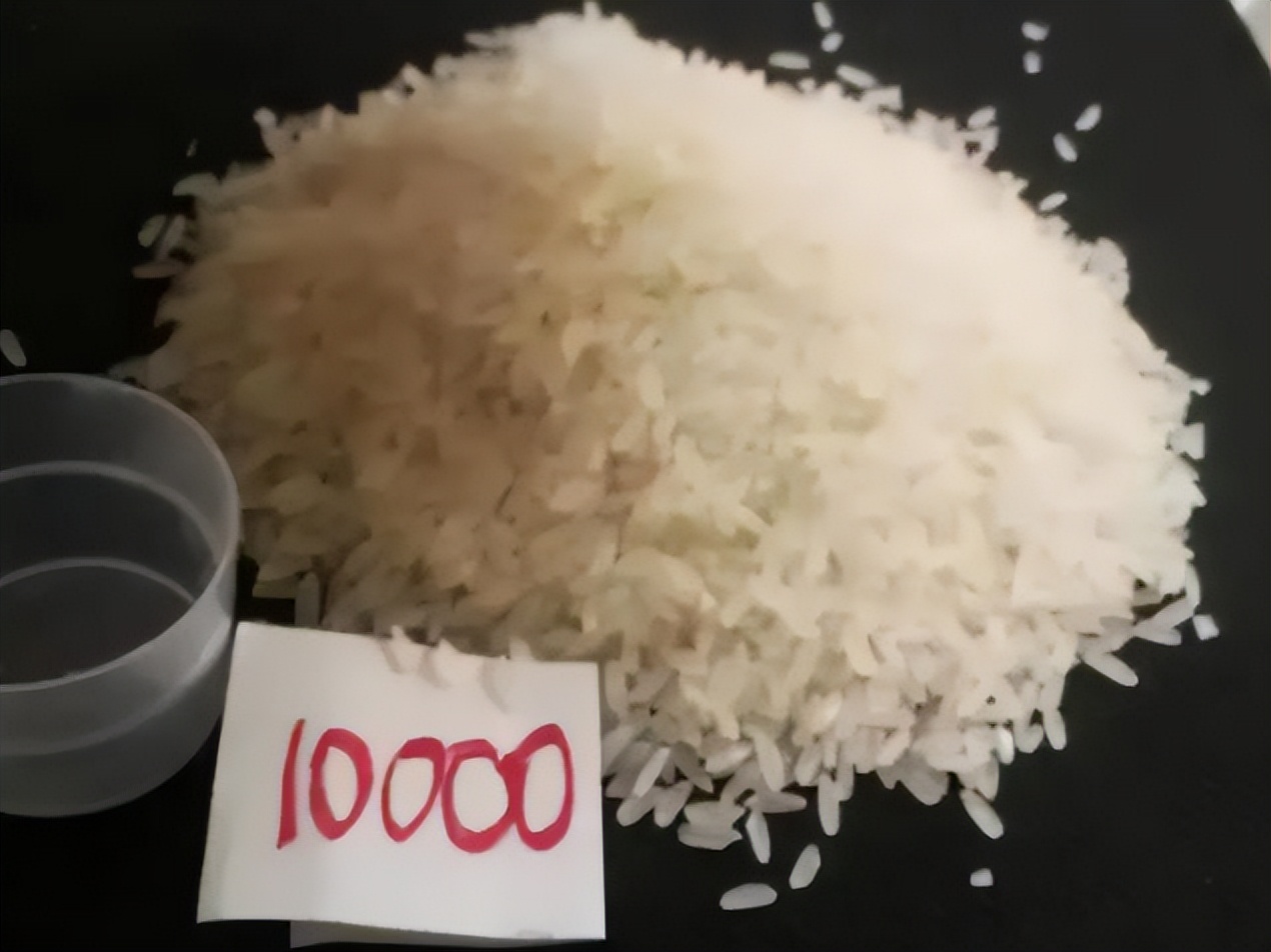 The joke came into reality, the teacher assigned 10,000 grains of rice ...